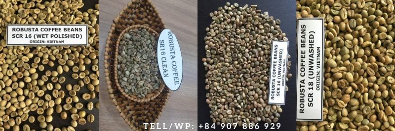 Robusta Coffee - spices of the life