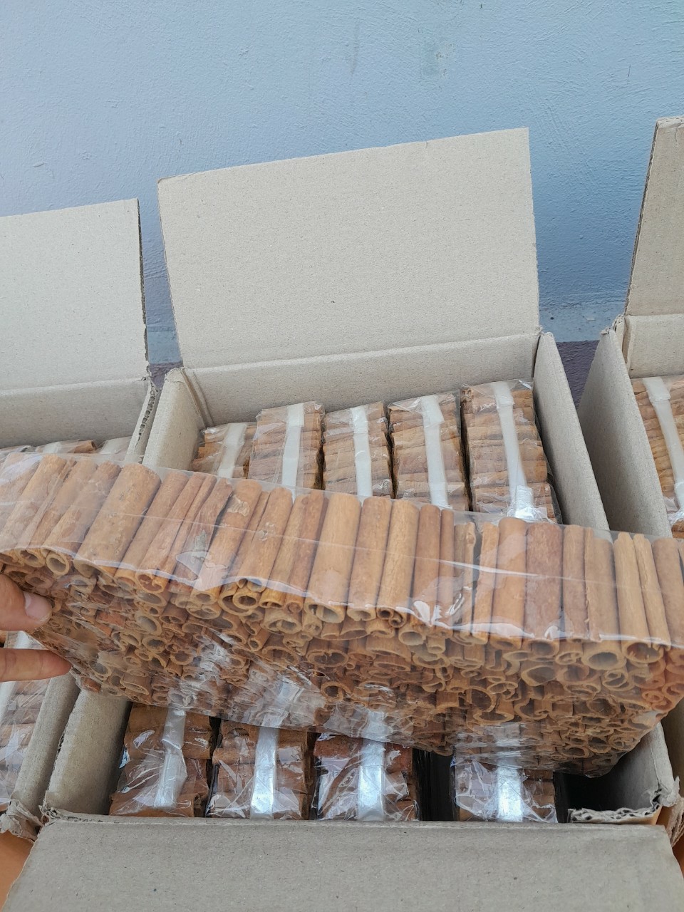 TOP EXPORTER FOR CASSIA( CINNAMON) FROM VIET NAM - spices of the life